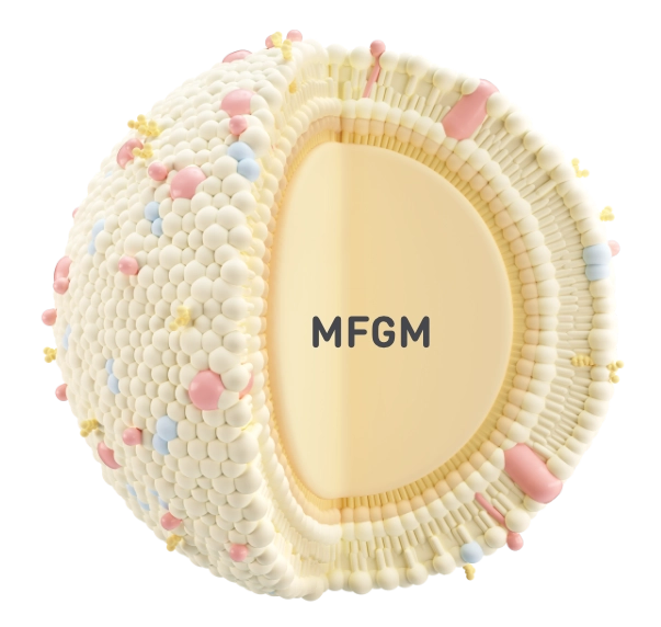 Brain development mfgm study