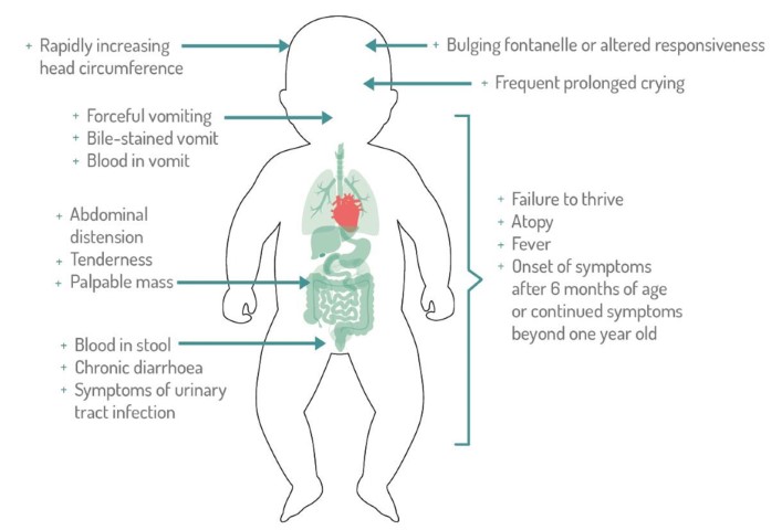 HCPWEB Article: GI Infant